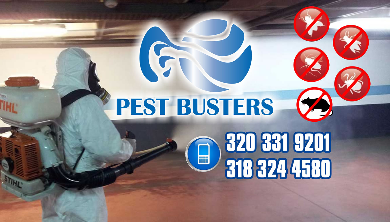 PEST BUSTERS SAI+,San Andres - Islas+, Pagina Oficial
